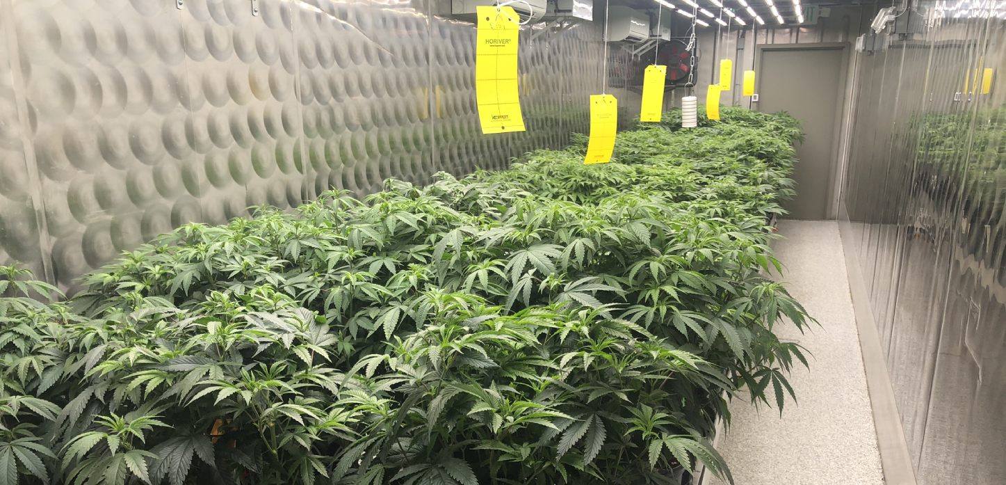 Container Farming - Finish Line Product Development